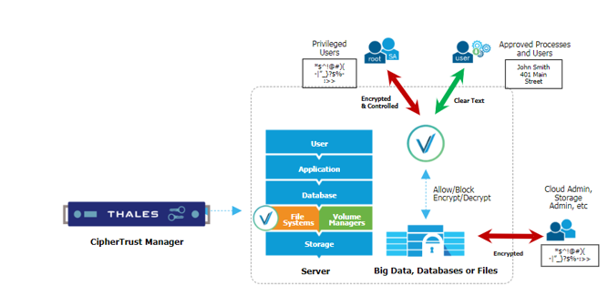 Protege tus datos y confidencialidad de tu empresa con CipherTrust de Thales